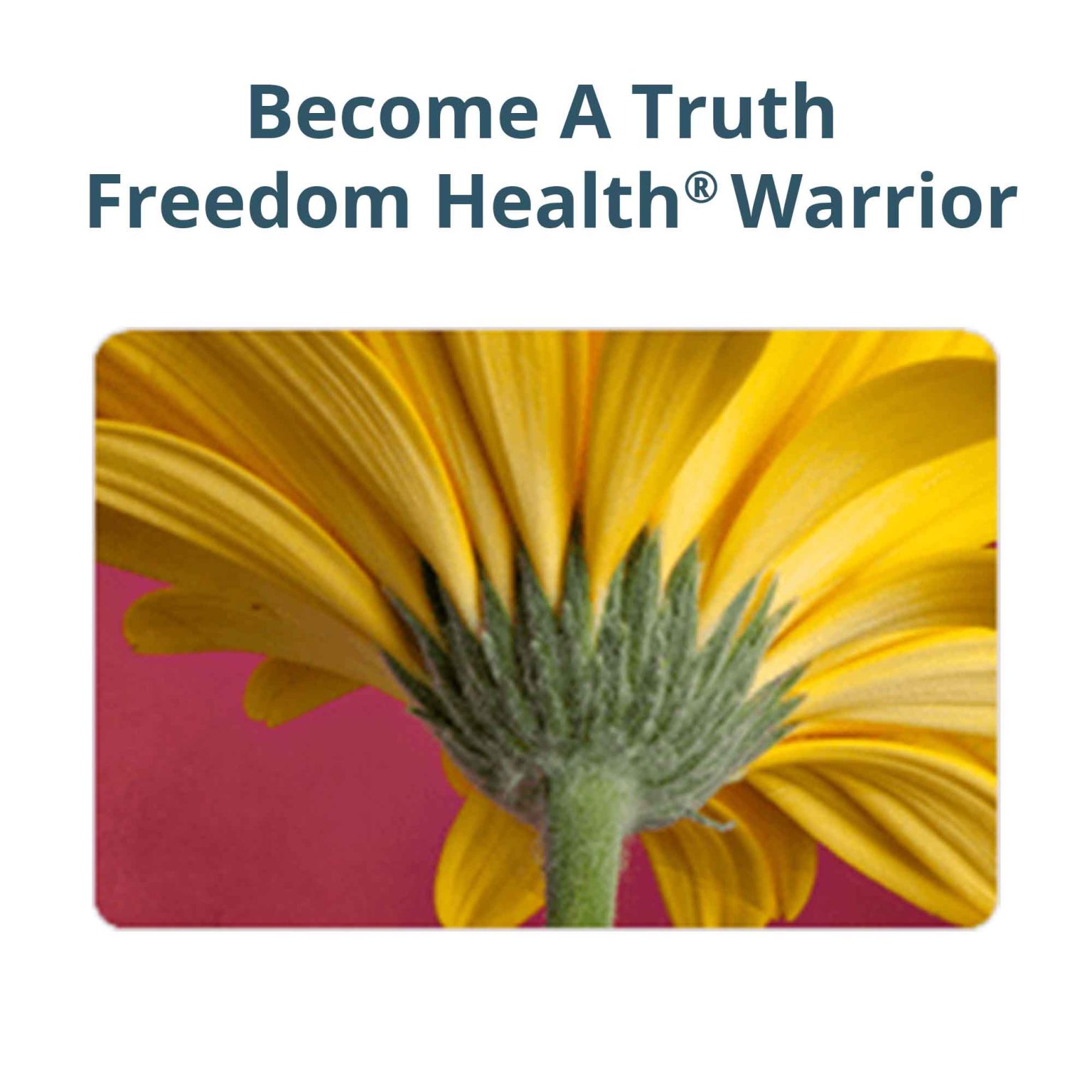 The Swarm – HOW the Few Control the Many. What WE Do to Break Free ...